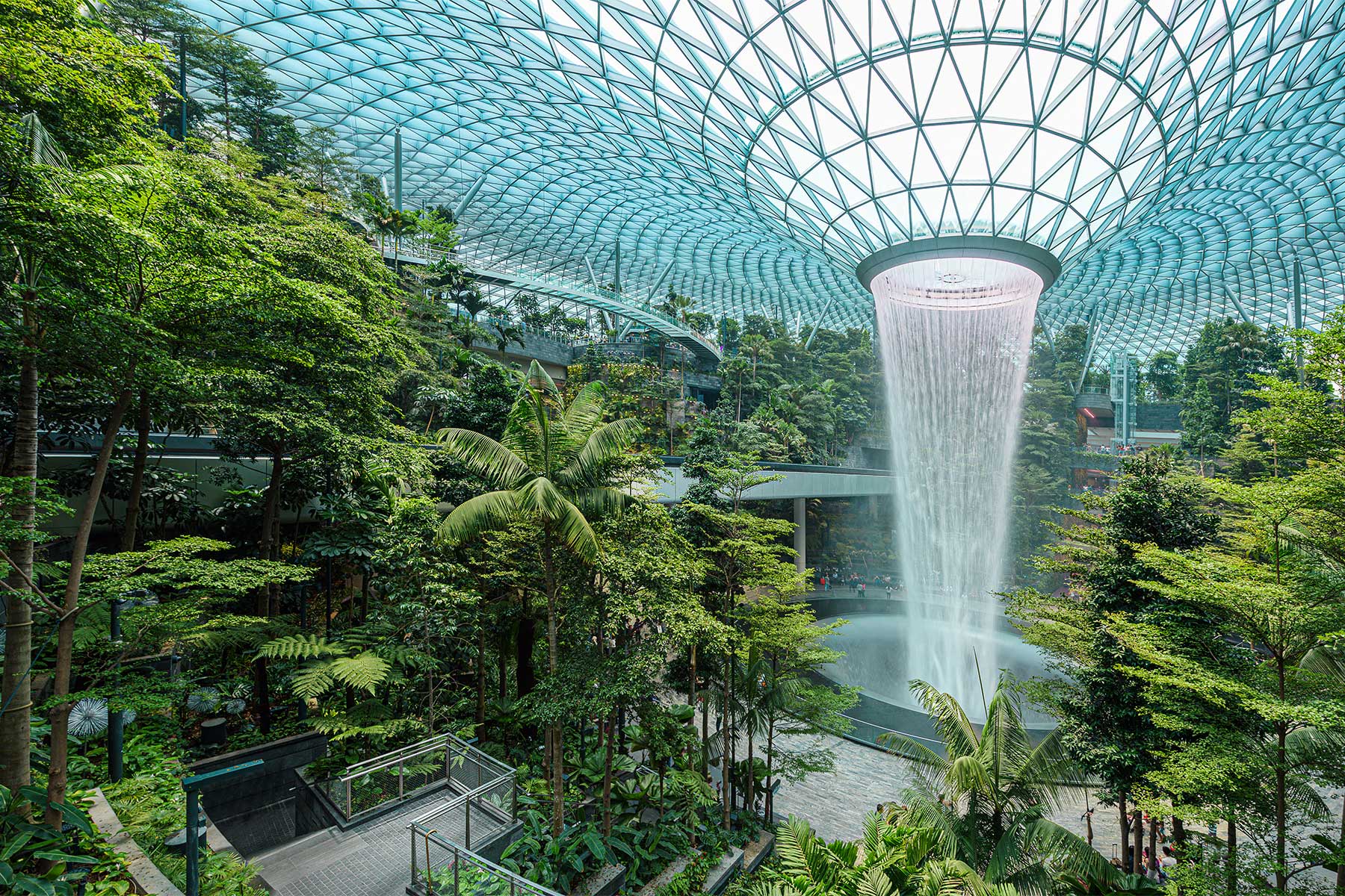 how can biophilic design boost sustainability? 3 examples of biophilic ...